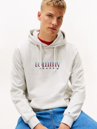 Tommy Jeans Hoodie TJM REG ENTRY DNA PLAY regular fit, mehrfarbiges Logo, Sweatshirt