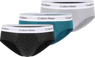 Calvin Klein Underwear Slip