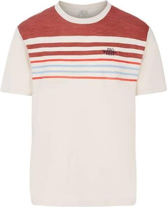 Protest Herren Shirt PRTHowlen