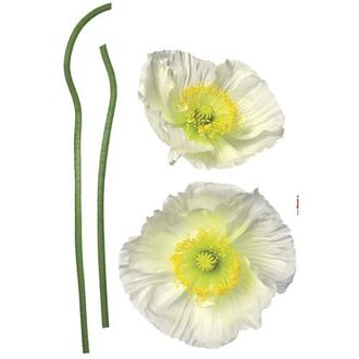 Komar Deco-Sticker PAVOT BLANC | 50 x 70 cm | Wandtattoo, Wandbild, Wandsticker, Wandaufkleber, Walltattoo, Blumen, Bl&uuml;ten, Mohnbl&uuml;ten | 17022h