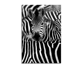 Paul Sinus Art Fotoleinwand 90x60cm Tierfotografie - Zebra in seiner Herde