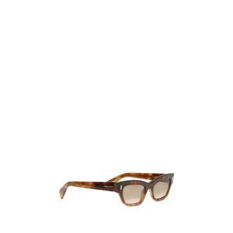 Alexander McQueen Womens Brown Acetate Sunglasses
