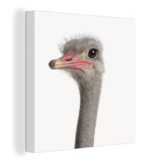 MuchoWow Leinwand Bilder, Einzigartige Wanddeko mit Rahmen, Strau&szlig; - Tiere - Kinder - Jungen - M&auml;dchen - Vogel, Wandbilder Wohnzimmer, Deko Schlafzimmer 20x20 