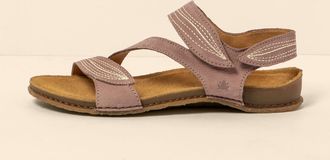 El Naturalista 258101280005