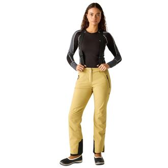 Dare 2B Dare 2B - Diminish ll Skihosen f&uuml;r Damen (W&uuml;stenbeige)