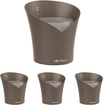 Lechuza ORCHIDEA Taupe matt 13965 (Packung mit 4)
