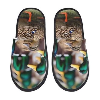 Generic Canards Colverts Homme Femme Slippers L&eacute;g&egrave;res Chaussons Doux Pantoufles Pour Maison Automne Int&eacute;rieur L