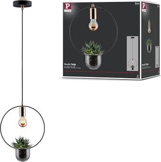 Paulmann 79748 Neordic Pendelleuchte Tasja Pflanzenleuchte max. 20 Watt Tischlampe ohne Leuchtmittel Schwarz, Kupfer Metall E27
