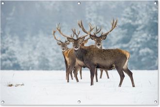 MuchoWow Outdoor-Poster Poster Wanddeko draußen Deko Garten Gartenposter 120x80 cm Hirsche - Tiere - Schnee - Winter - Landschaft - Natur