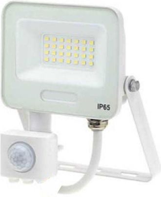 Trade Shop Trade Shop - FARETTO LED 30W CON SENSORE MOVIMENTO PROIETTORE DA ESTERNO LUCE 6500K IP65 EK05-SEN-30 - Wei&szlig;