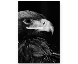 Paul Sinus Art Leinwandbilder | Bilder Leinwand 90x60cm Portrait eines Adlers - schwarz, wei&szlig;