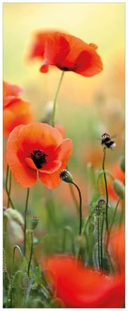 Wallario Poster - Mohnblumenbl&uuml;ten in Premiumqualit&auml;t, Gr&ouml;&szlig;e: 80 x 200 cm XXL-Poster