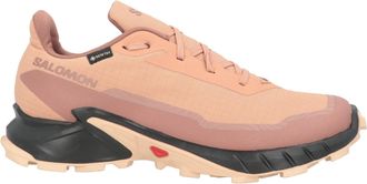 Salomon ALPHACROSS 5 GTX
