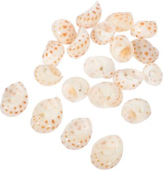 BESPORTBLE JECOMPRIS 40 Stück Teiliges Natürliche Kleine Muscheln für DIY Bastelprojekte und Aquariumdekoration Realistische Conch Shells für Gartenteiche Schmuc