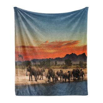 Abakuhaus Safari Weiche Kuscheldecke Sofadecke, Safari Wildlife, Gem&uuml;tlicher Pl&uuml;sch f&uuml;r den Innen- und Au&szlig;enbereich, 175 x 230 cm, Blassblau Orange Braun