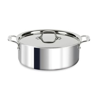 All-Clad 4506 Stainless Steel Fleisch und Gem&uuml;setopf mit Deckel, Topf 5.7 L, 26.7 cm