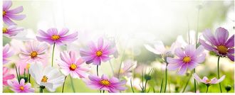 Tulup Glas-Bild Wandbild aus Glas - Wandkunst - Wandbild hinter geh&auml;rtetem Sicherheitsglas - Dekorative Wand f&uuml;r K&uuml;che & Wohnzimmer 125x50 - Blumen & Pflanz