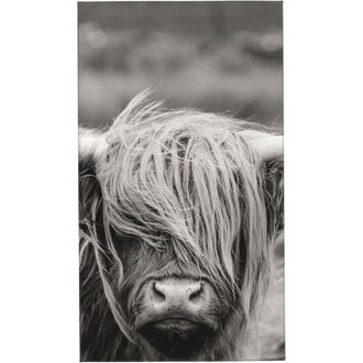 Generic Handt&uuml;cher 40x70cm, Schottisches Hochlandrind Drucktuch Ultraleichtes Schnell Trocknendes Pool Badetuch, F&uuml;r Schwimmen, Wandern, Reise