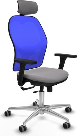 Piqueras y Crespo Ergonomischer Computerstuhl mit 3D-Armen, h&ouml;henverstellbare Lendenwirbelst&uuml;tze und h&ouml;henverstellbares Kopfteil, Blau/Grau