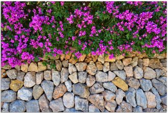 Wallario Outdoor-Poster f&uuml;r Garten oder Balkon Mauer mit pinken Bl&uuml;ten, Motivbanner Gr&ouml;&szlig;e: ca. 120 x 180 cm, Outdoor-Bild