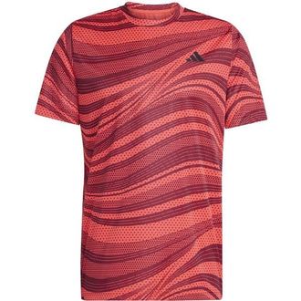 adidas Herren Shirt Club Tennis Climacool Graphic