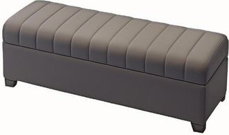 Generic Schminkstuhl, Elegante Aufbewahrungsbank, Fußstütze aus Kunstleder, max. 205 l, dick gepolsterter Schminkhocker für Schlafzimmer, Wohnzimmer, Eingangs