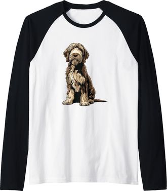 Whyitsme Design Braune Roan Spinone Italiano Hundeillustration Raglan