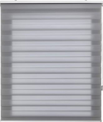 Blindecor | Rollo f&uuml;r Nacht und Tag nach Ma&szlig; | Doppellagig | Grau | 85 x 250 cm (Breite x H&ouml;he) Stoffgr&ouml;&szlig;e 82 x 245 cm | Fensterrollos