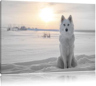 Pixxprint Weißer Wolf im Schnee B&W Detail, Größe: 100x70cm, Leinwandbild, fertig gespannt, Wandbild, Dekoration, Kunstdruck, kein Poster