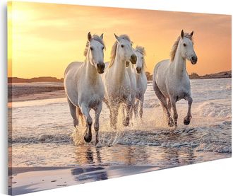 Islandburner Bild auf Leinwand Pferde Am Strand Bei Sonnenuntergang Bilder Wandbilder Poster