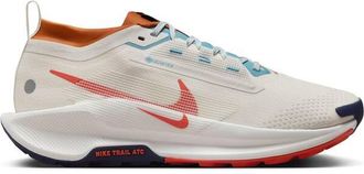 Nike Herren Laufschuhe PEGASUS TRAIL 5 GTX