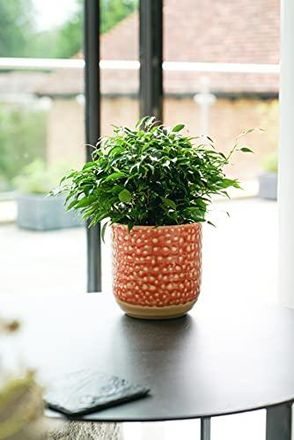 Ivyline Titian Reactive Glaze Pflanzgefäß H16 cm T 16 cm