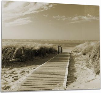 Wallario Herdabdeckplatte/Spritzschutz aus Glas, 1-teilig, 60x52cm, für Ceran- und Induktionsherde, Auf dem Holzweg zum Strand in Sepiafarben