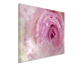 Paul Sinus Art XXL Fotoleinwand 120x80cm K&uuml;nstlerische Fotografie - Eingefrorene rosa Rose auf Leinwand exklusives Wandbild moderne Fotografie f&uuml;r ihre Wand in viele