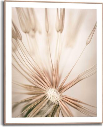 Reinders Gerahmtes Bild, Pusteblume, Home Office, Bilder, Wanddeko, Room Decor, MDF, Beige, 50 x 40