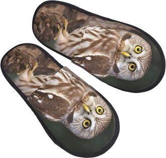 Generic Chaussons Femme Hommes Chouette Animaux De La Faune Chaussons DIntérieur Doux Maison Chaussures Confort Chausson Hommes, Pour Intérieur Extérieur, Fem