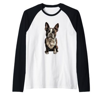 Whyitsme Design Brindle Boston Terrier Hund Illustration Raglan