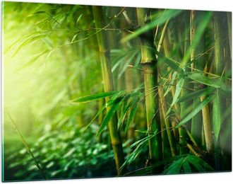 Arttor Wandbilder Dekoration Wohnzimmer Bambus Pflanze Bilder auf Glas 120x80cm Glasbild Schlafzimmer Küche Deko Wand Kunstdruck Art Groß XXL Wanddeko Bild i