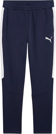 Puma teamEVOSTRIPE Trainingshose blausilber, XL Herren