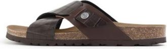 Bayton Mules Gandhi
