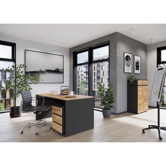 Germania home24 Aktenschrank GW-Lissabon II 80 x 120 x 40cm Schwarz/Braun