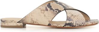 Sergio Levantesi Femme, Chaussures, Multicolore, Taille: 37 1/2 EU Mule en cuir effet python
