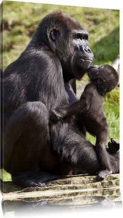 Pixxprint Gorilla-Baby küsst seine Mutter, Größe: 120x80cm, Leinwandbild, fertig gespannt, Wandbild, Dekoration, Kunstdruck, kein Poster