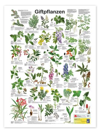 Posterlounge Giftpflanzen Poster von Planet Poster Editions 50 x 70 cm Grün Wandbilder Wanddeko