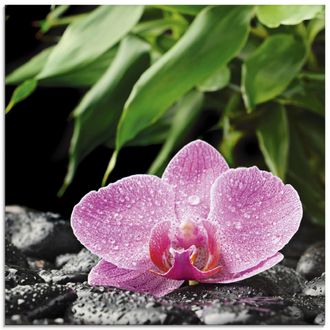 Artland ARTland Wanddeko Glasbilder Wandbild Glas Bild einteilig 50x50 cm Quadratisch Natur Asien Botanik Blumen Orchidee Steine Zen Entspannung Pink T5OQ