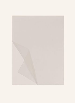 Roeckl Schals Classic Georgette beige