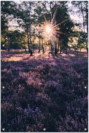Wallario Outdoor-Poster f&uuml;r Garten oder Balkon Heide im Morgenlicht, Motivbanner Gr&ouml;&szlig;e: ca. 100 x 150 cm, Outdoor-Bild