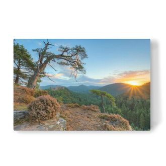 artboxONE Leinwand 120x80 cm Natur Morgens im Pf&auml;lzerwald von Michael Valjak