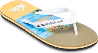 Quiksilver Herren Molokai Stripe 25 Sandale, Coronet Blue, 43 EU