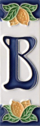 Generic Hausnummern, italienische Keramik-Zahlen und Buchstaben, Zitronendesign, Fliesengr&ouml;&szlig;e: 10 cm x 3,5 cm (Buchstabe)